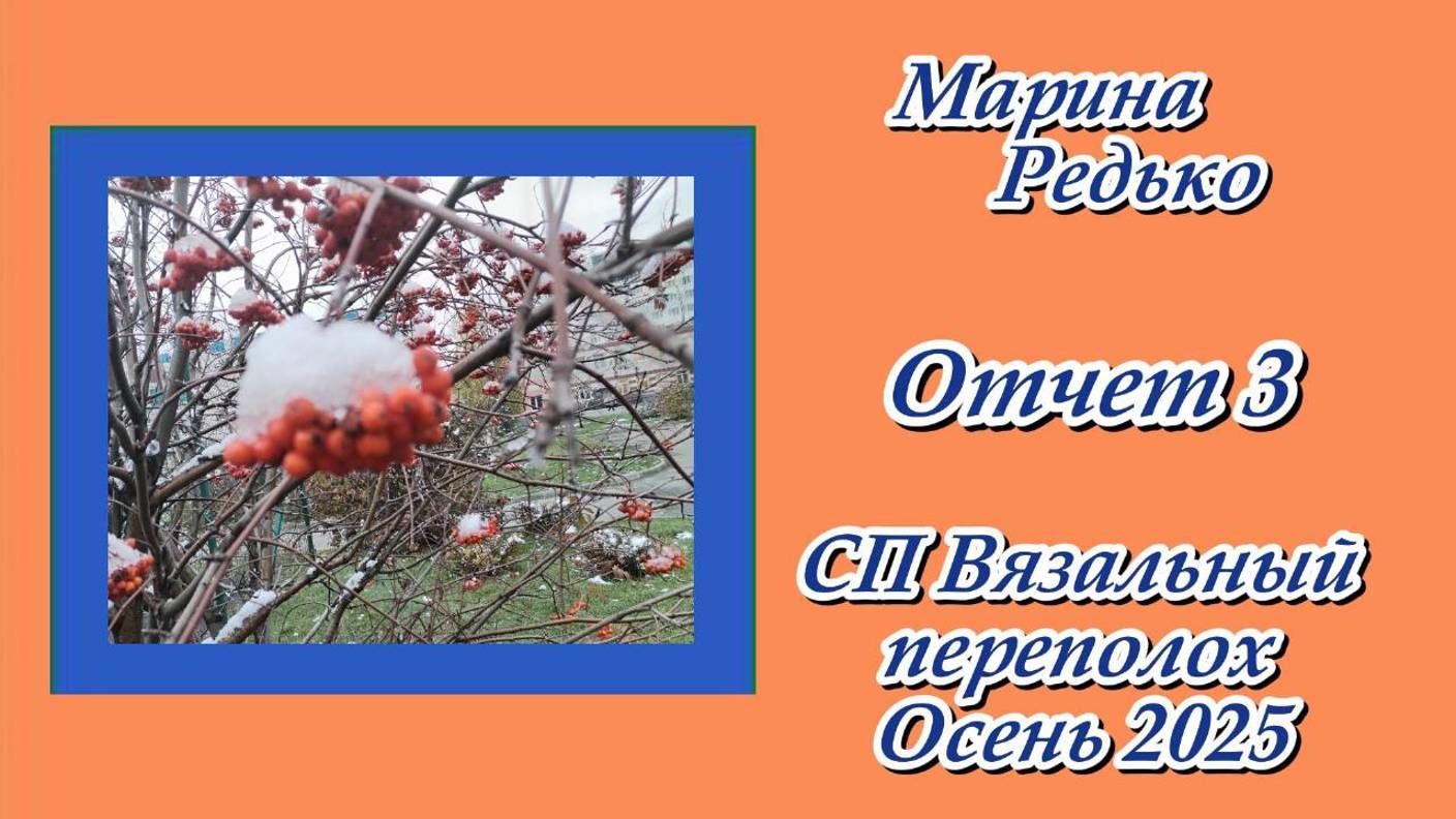 СП "Вязальный переполох. Осень 2025" / Отчет 3