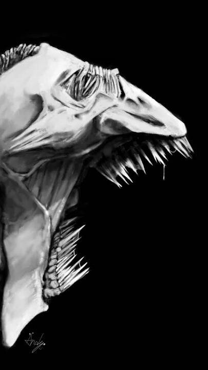 A Grave Soul, Now Run. Fossil