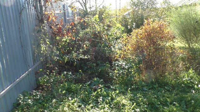 Я на даче 01.10.2025