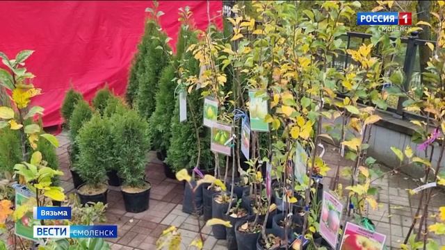 Сельхозярмарка в смоленском райцентре собрала более 20 фермеров