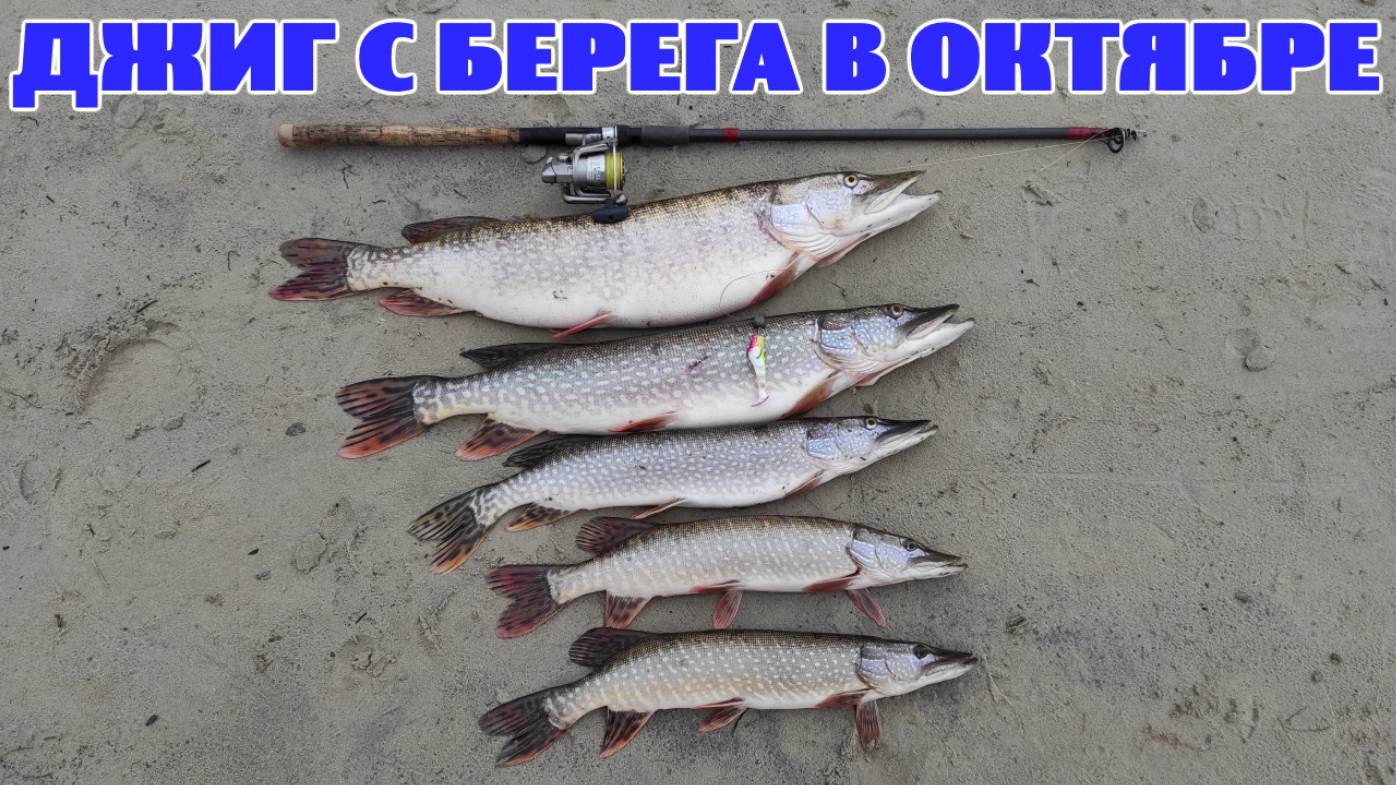 Ловля ЩУКИ на ДЖИГ с берега.