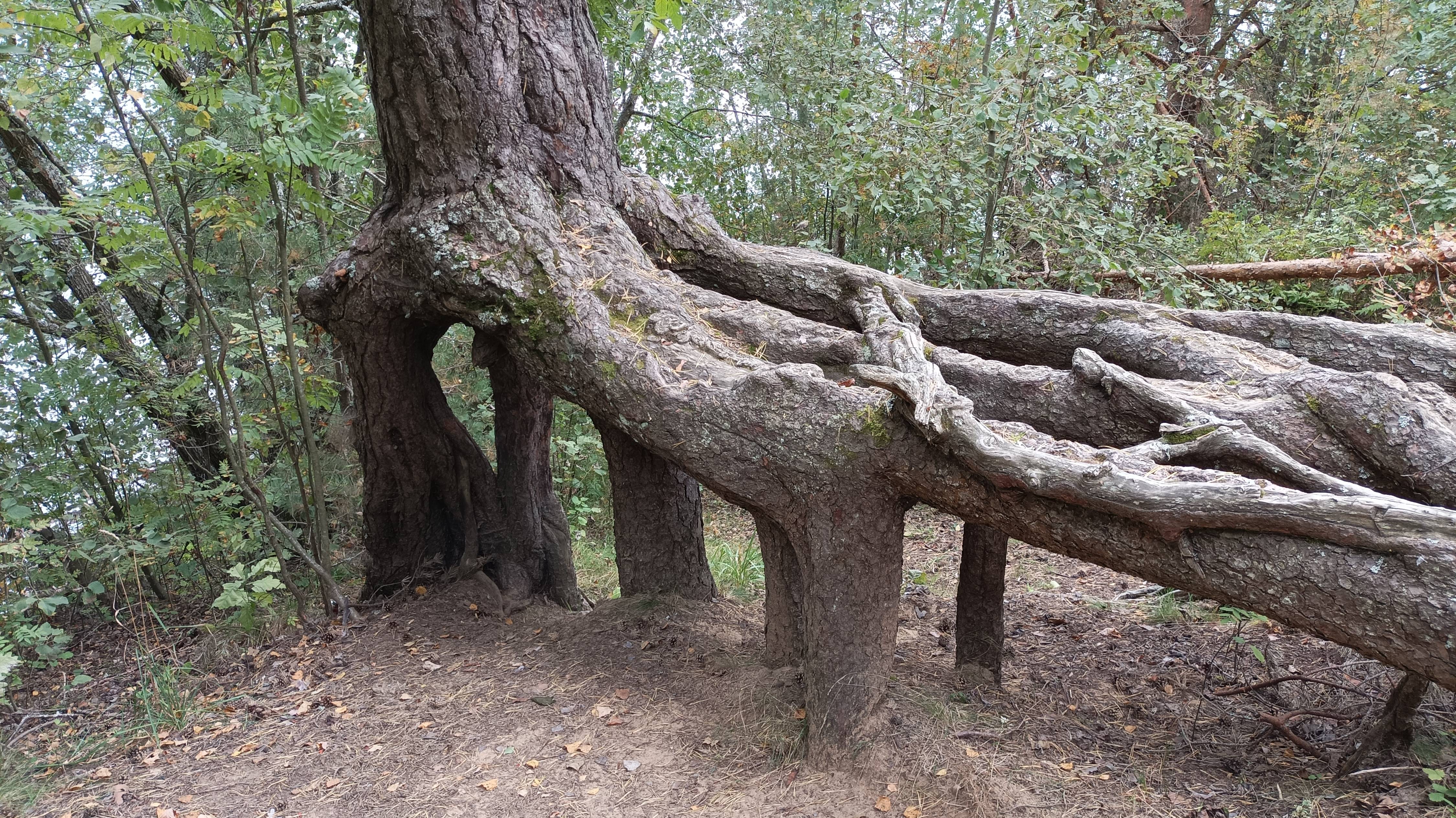 Озеро Хепоярви