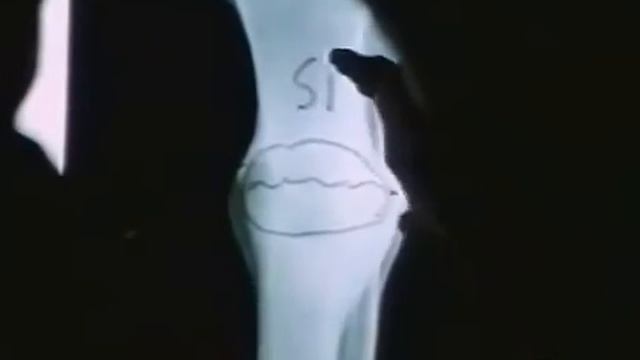 Кремний - элемент жизни.