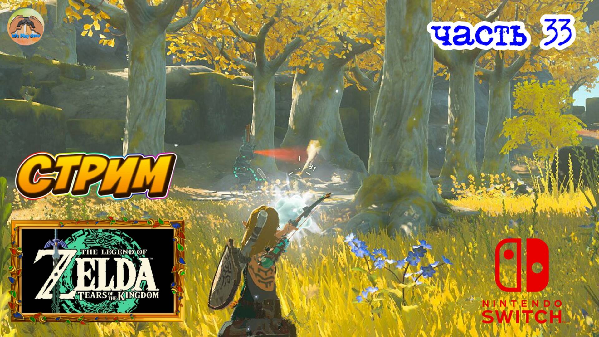 The Legend of Zelda Tears of the Kingdom -=- ЧАСТЬ 33
