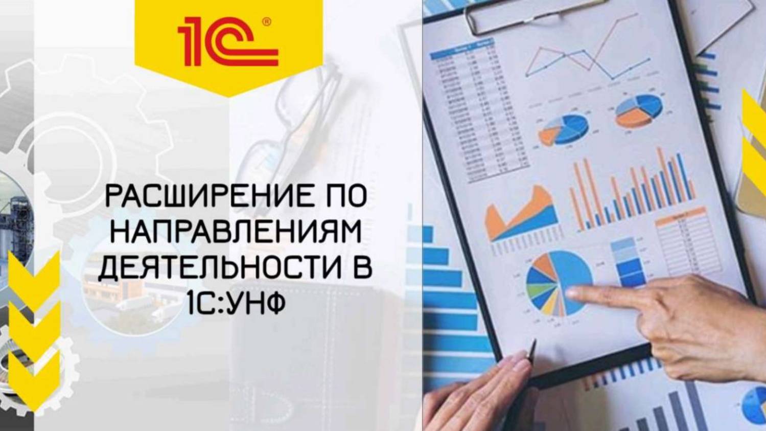 Расширение по направлению бизнеса в 1С:УНФ