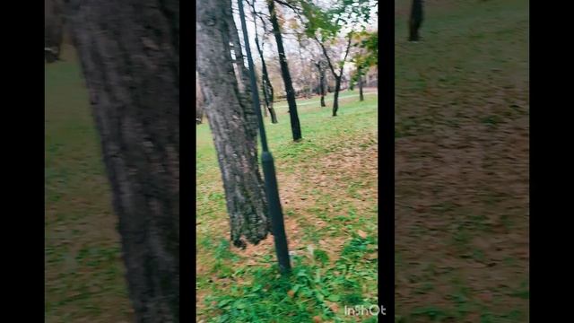 Моя пробежка по стадиону. Хорошо что снег ❄ растаял! Кормлю птиц