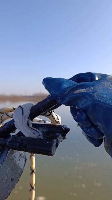 поисковый магнит в октябре