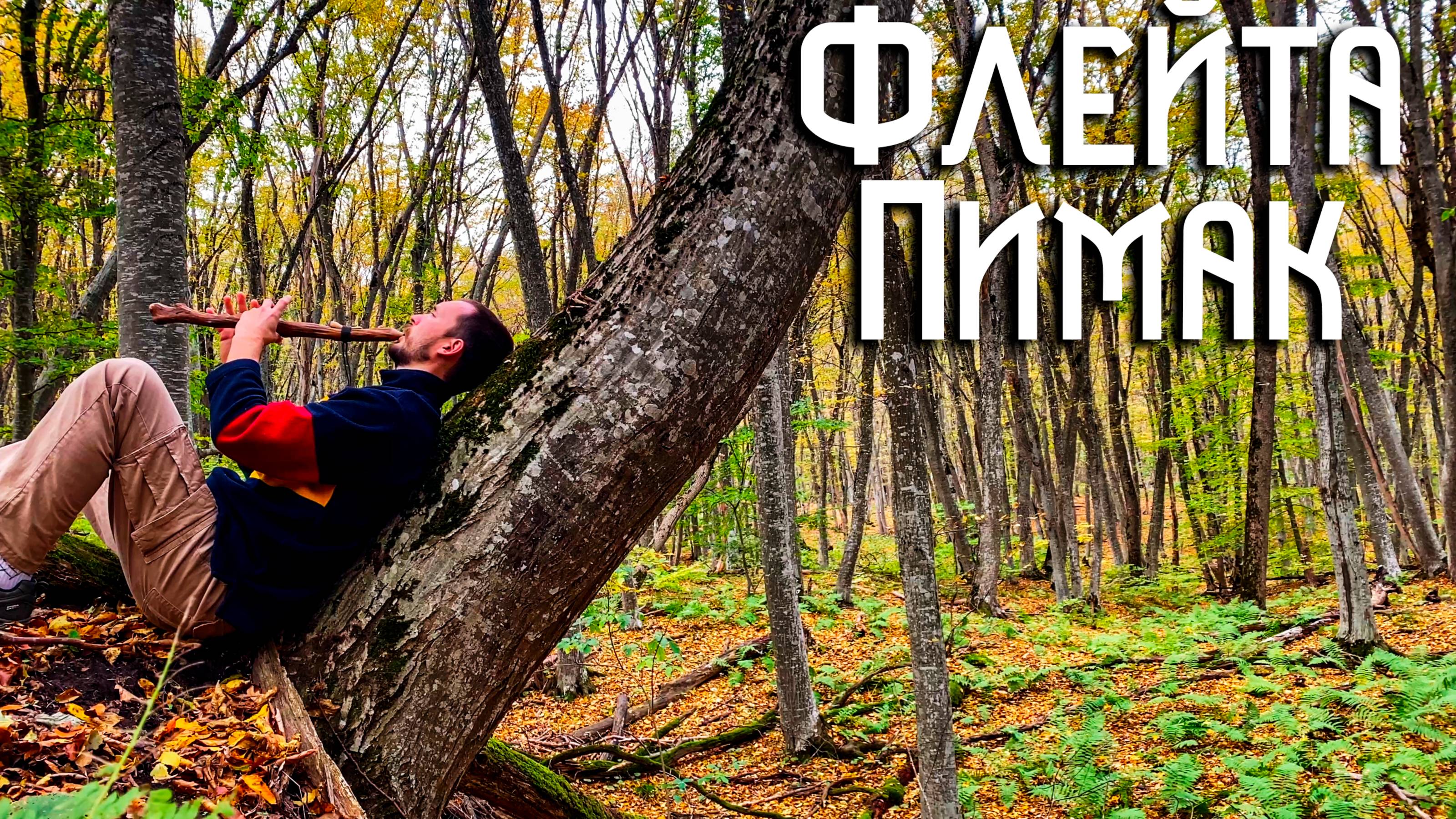 Музыка Души из Лесной Глуши / Индейская Флейта Пимак