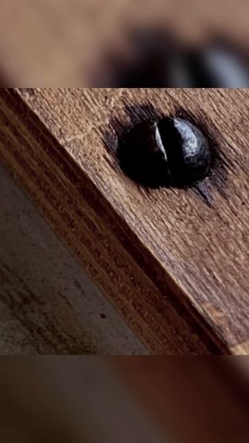 ФотоЭксперимент 9: коричневый цвет