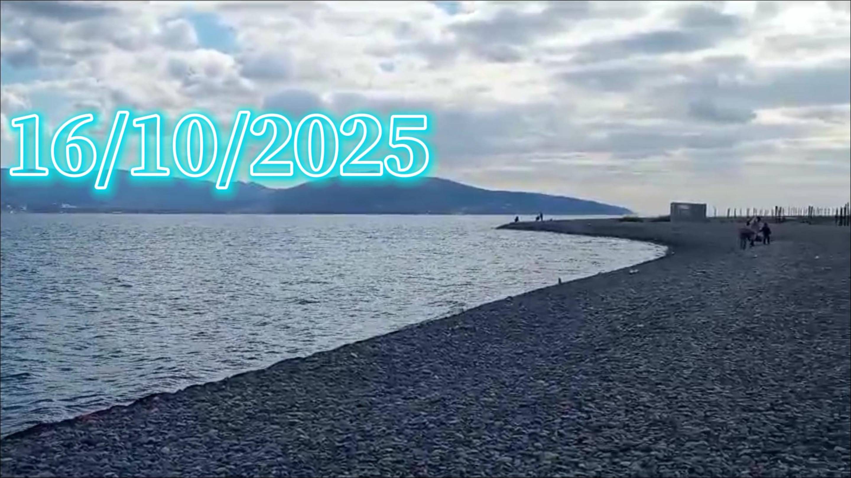 Адамово яблоко, море, утки и рыжий кот(16/10/2025)