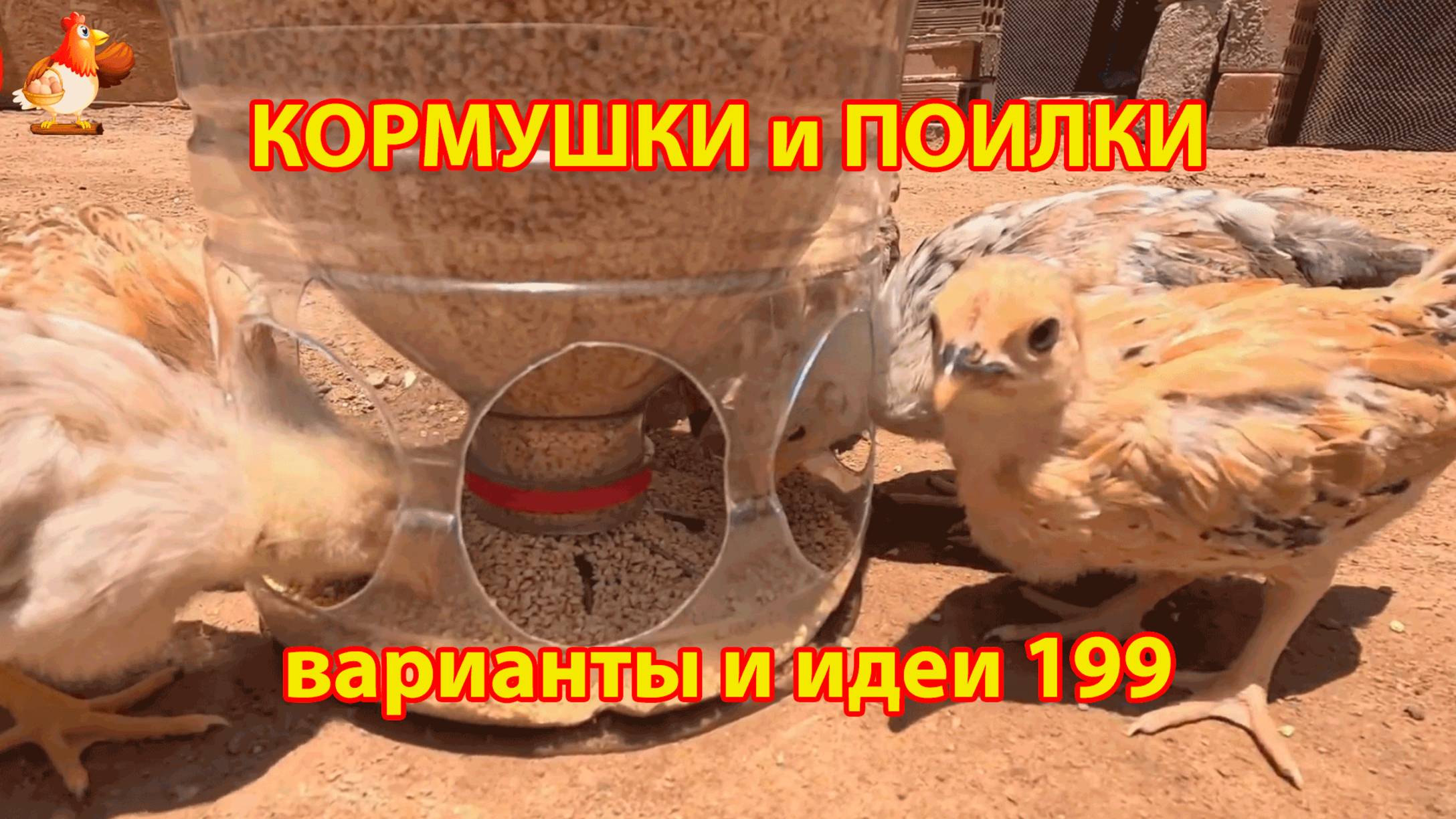 Кормушки и поилки для кур своими руками (199) 🪚✂️ Пошаговая инструкция как сделать 🐔 🐓❣️