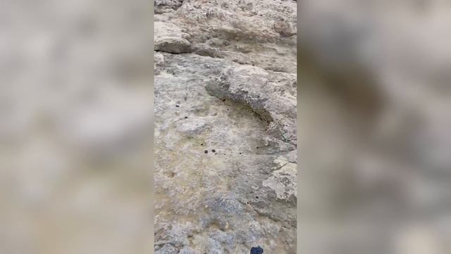 Мазут на набережной Андрея Первозванного в Севастополе 15 октября 2025