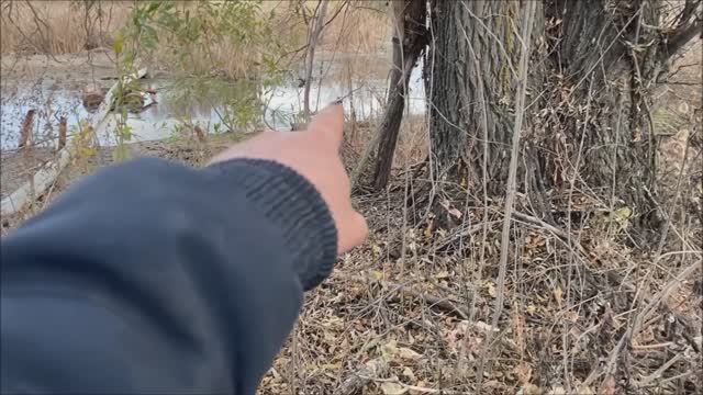 металлолом в болоте! испачкались все!