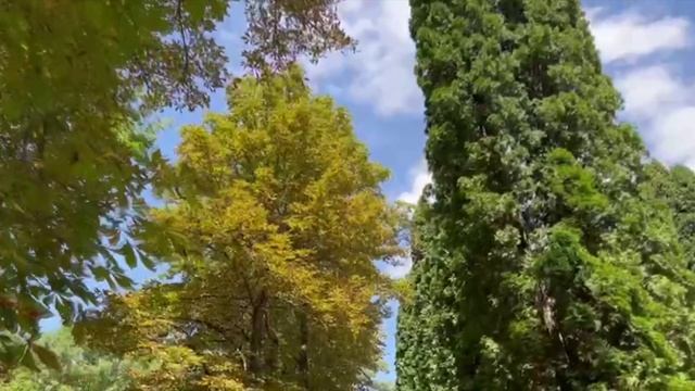 Транс - медитация на деньги | Привлеките деньги за 20 минут (без усилий!)