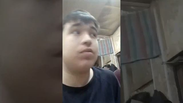 Сборник Шортсов #13