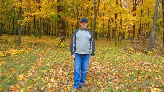 Осень в городе