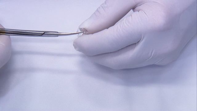 Изготовление временной коронки (2 часть, обрезка полосовой коронки по размеру)