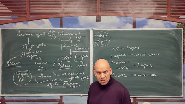 Система права и система законодательства