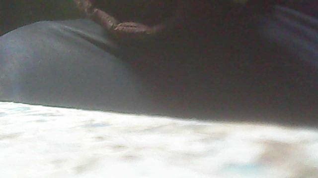 Авиамоделирование: склеивание фюзеляжа и третьего переднего крыла