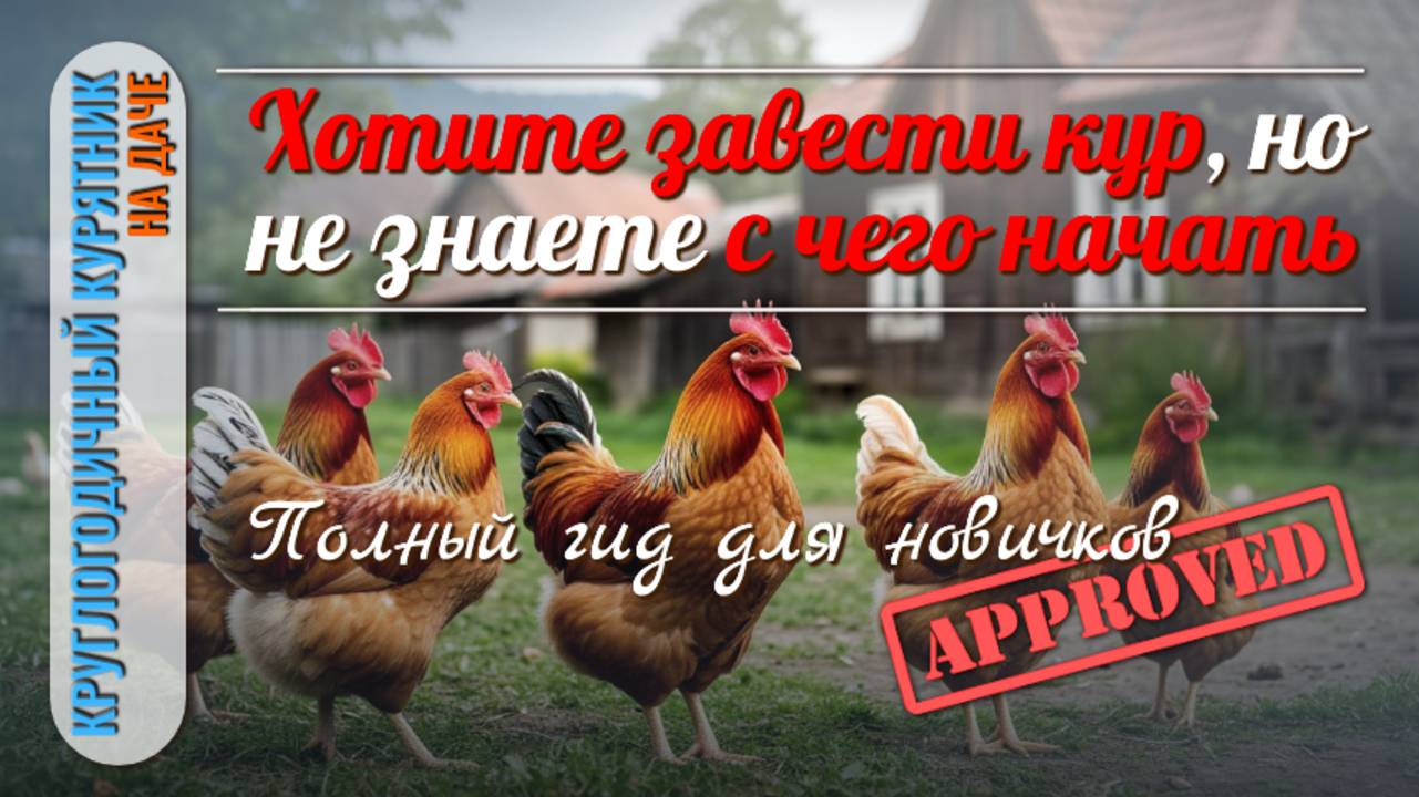 РАЗВЕДЕНИЕ и СОДЕРЖАНИЕ КУР: с чего начать, советы и ошибки. 🐔 Полный гид для новичков