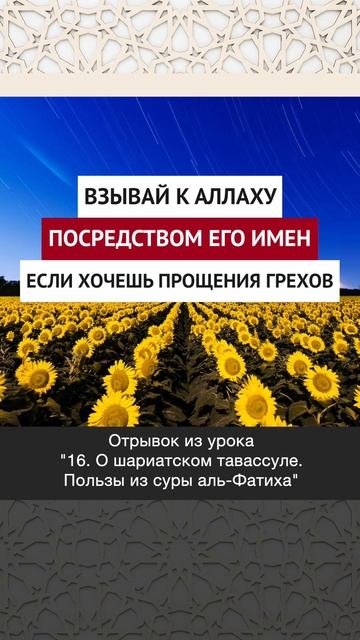 Взывай к Аллаху посредством Его имен, если хочешь прощения грехов || Ринат абу Ибрахим #ислам #коран