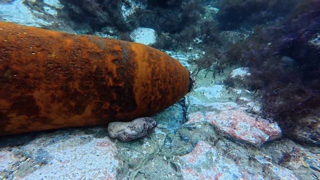 250-килограммовую бомбу уничтожили у берегов Севастополя сотрудники МЧС России