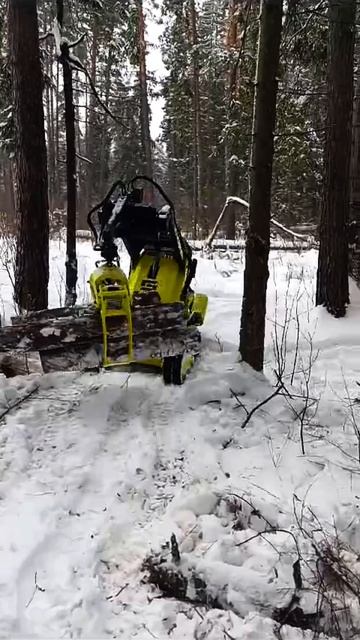 КАК ПЕРЕТАЩИТЬ БРЕВНА В ЛЕСУ С ГРЕЙФЕРОМ #макстем #лес #бревна #погрузчик #минитехника #техника