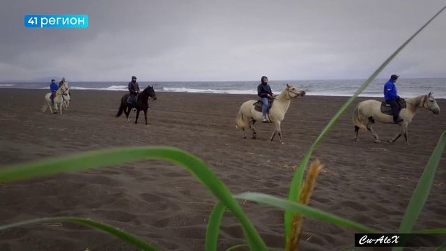 ВЕРХОМ ПО ПЛЯЖУ • БЕЗ КОММЕНТАРИЕВ