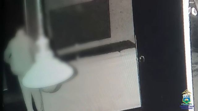 В Тюмени сотрудники уголовного розыска задержали подозреваемого в краже игровых приставок