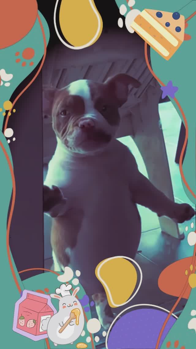 музыка видео юмор винни пух