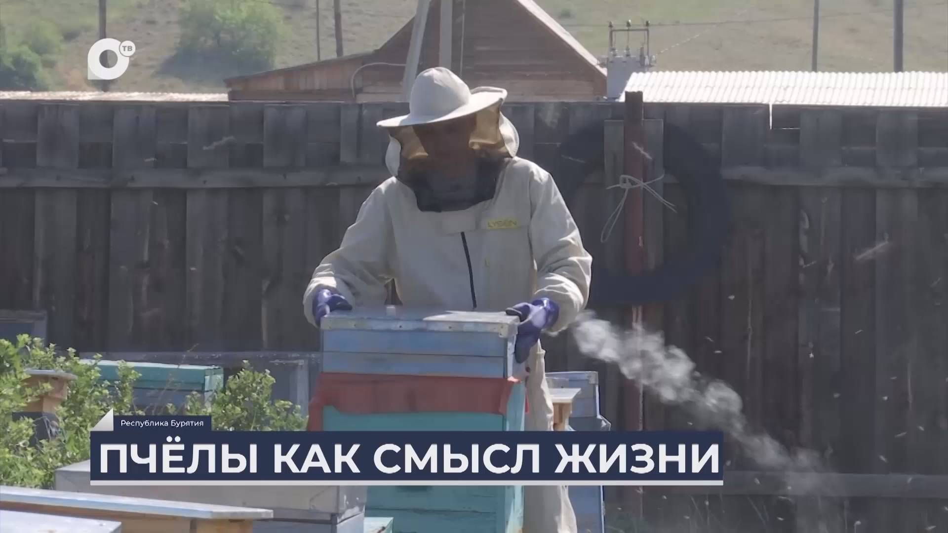 Дальний Восток на связи / Пчёлы как смысл жизни