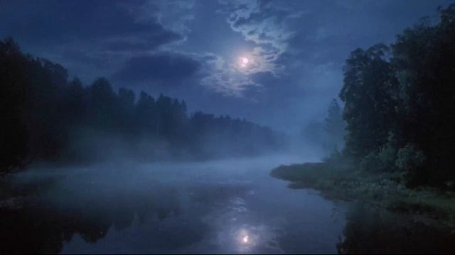 When dreams feel realer than life..