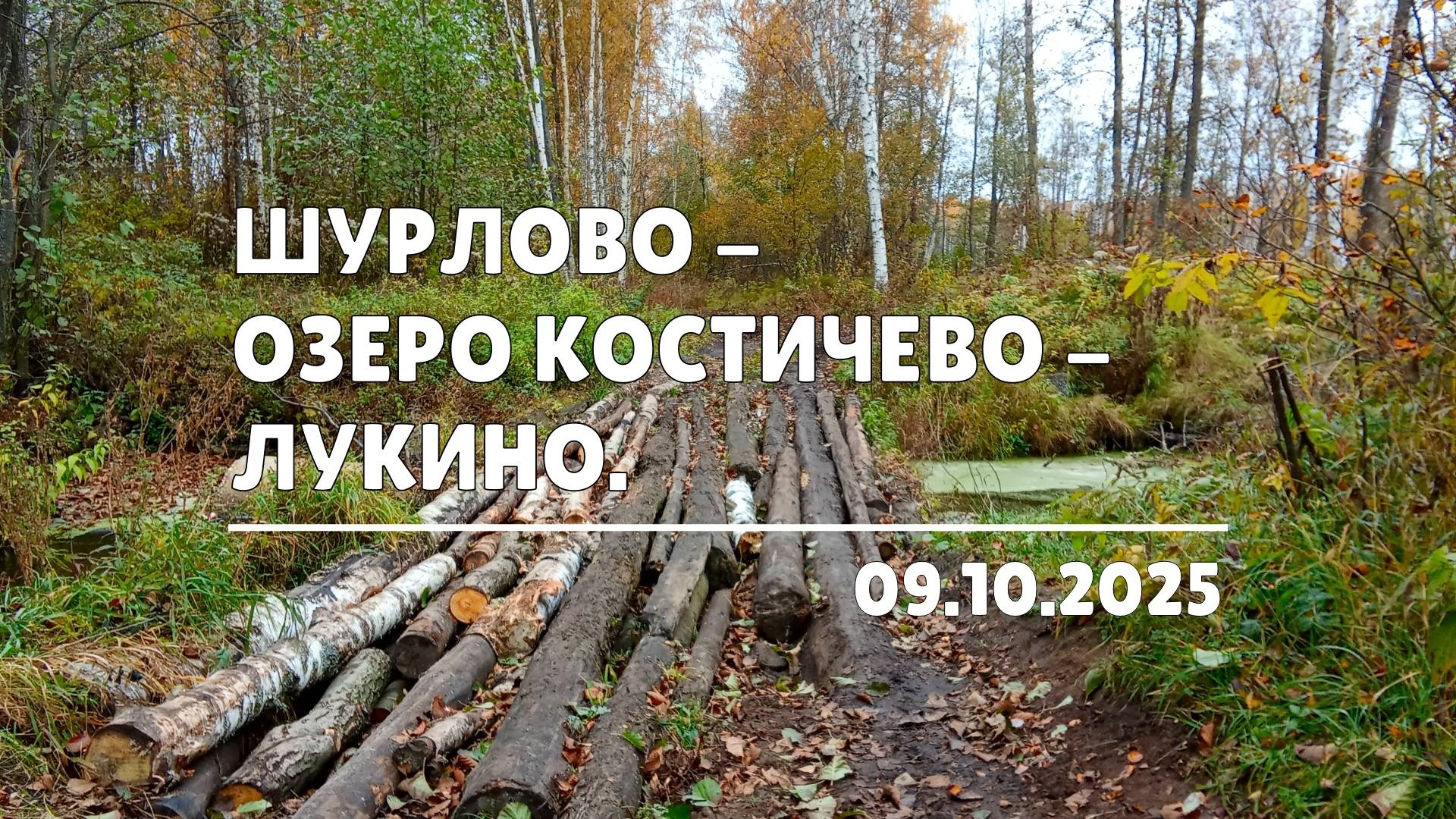 Шурлово - озеро Костичево - Лукино (09.10.2025)