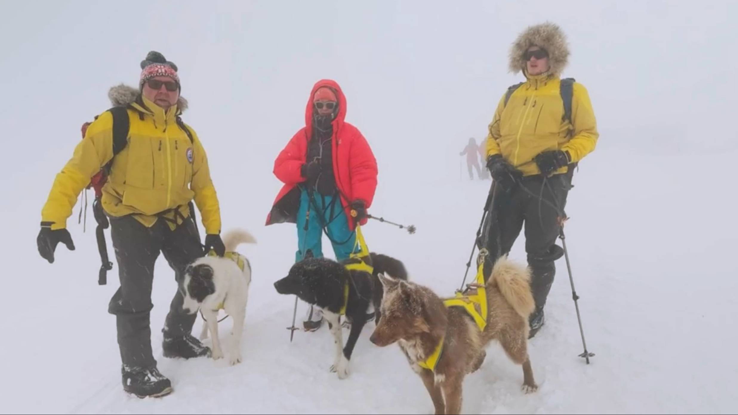 Команда Клуба 7 Вершин Super Dogs на акклиматизационном выходе на Скалы Пастухова, 16 октября 2025