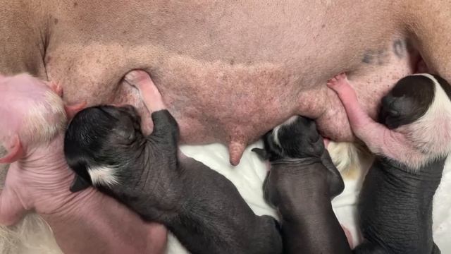 День второй