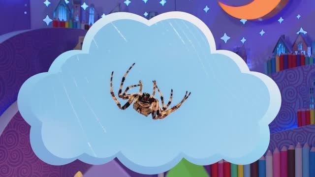 ✨Спокойной ночи, малыши✨179/2025 Пауки-летуны