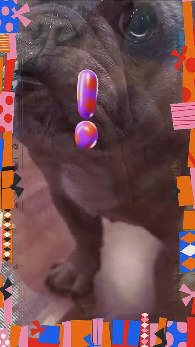 ретро мультик человек собаке друг   видео юмор  ( а я его веником)