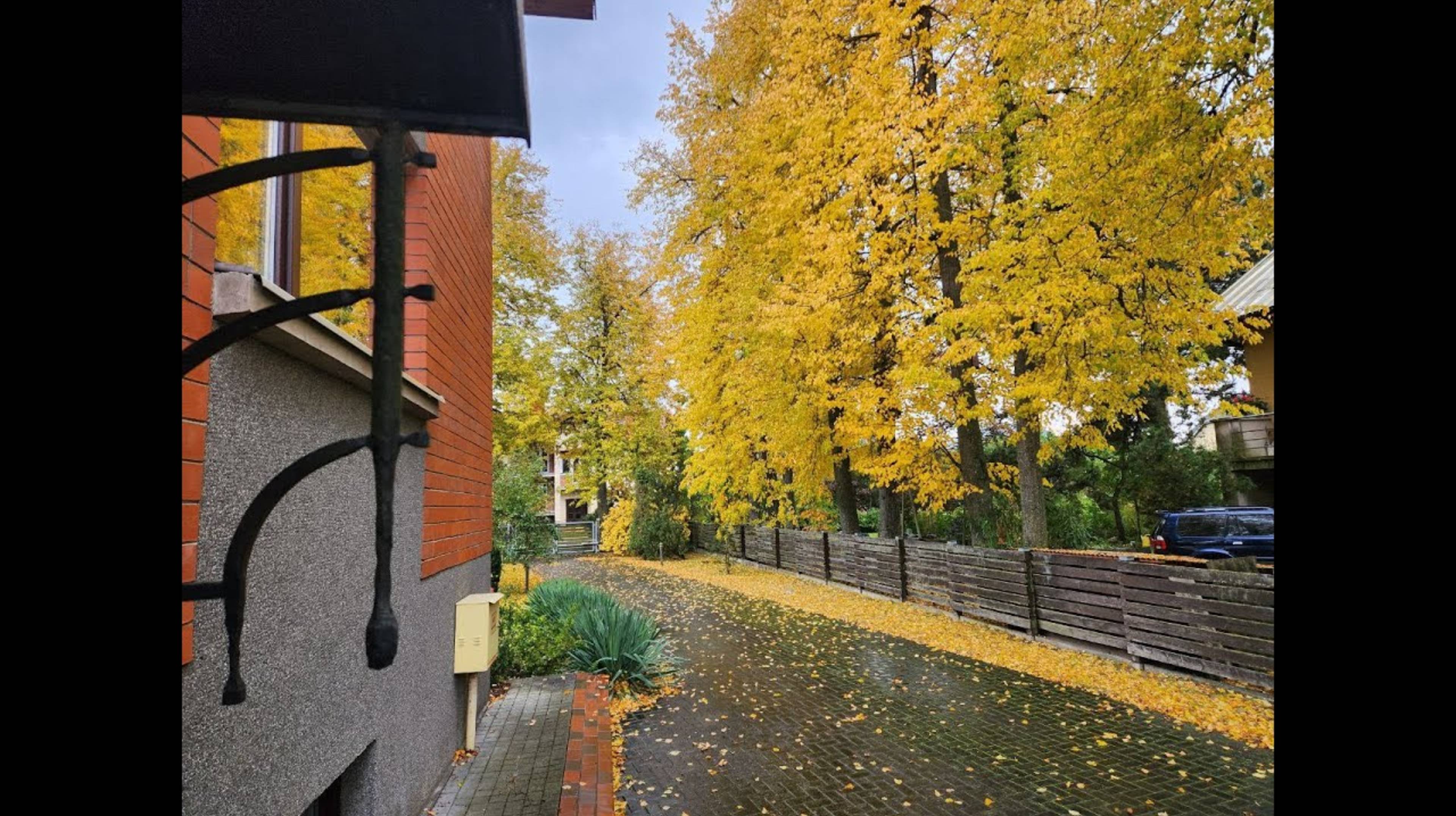 🌈 СТРАНА СЭФЕСТИЯ. 🍁 ＂Осень в Паневежисе...＂. 💦🍂😇