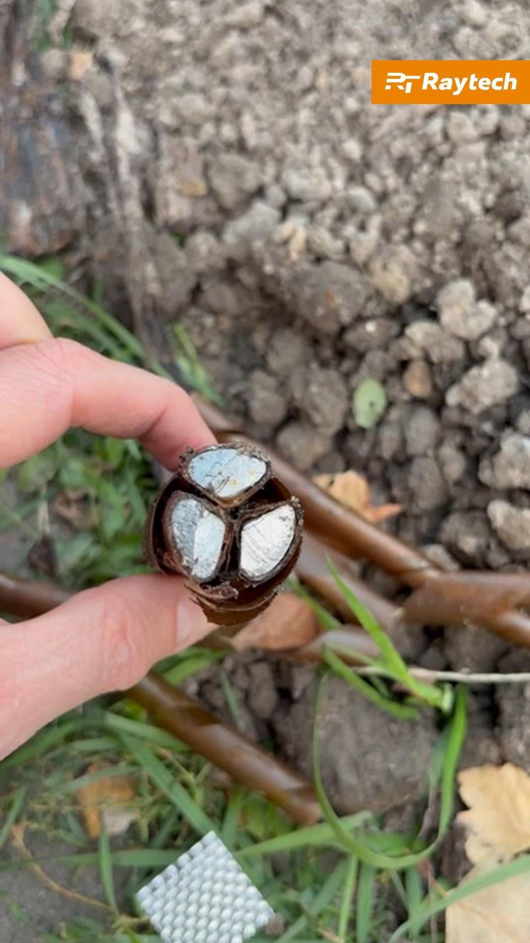 Как я погулял с собакой!