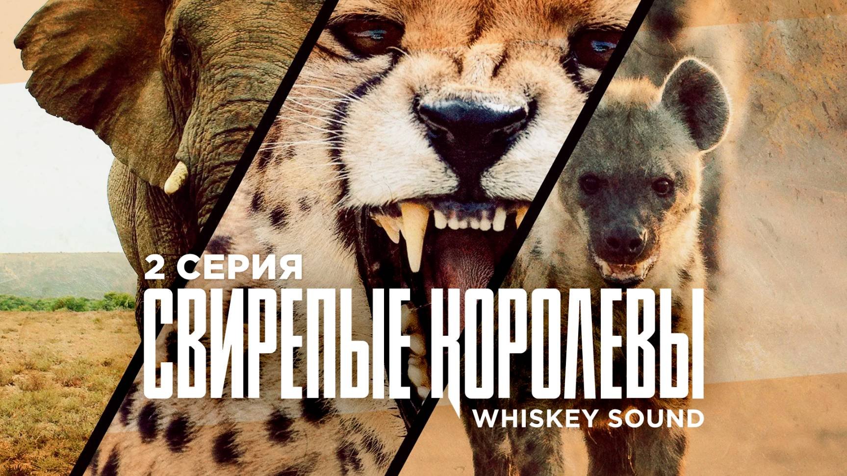 Свирепые королевы (2 серия) | Fierce Queens | Дубляж Whiskey Sound