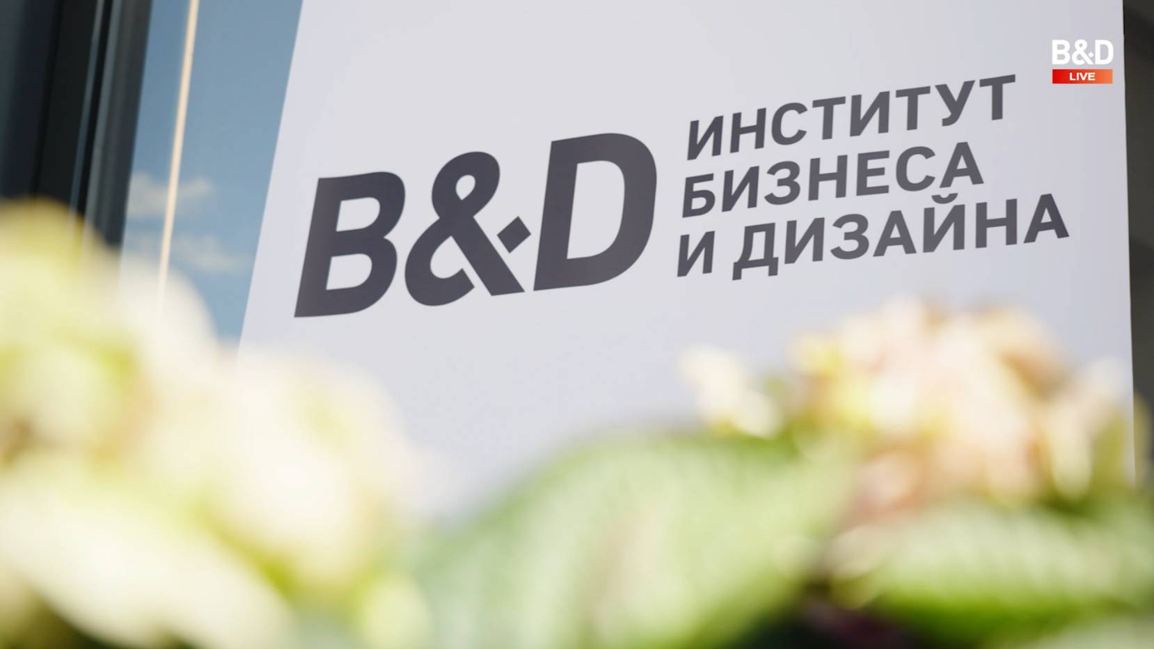 B&D LIVE: СПЕЦВЫПУСК к 30-летию Института бизнеса и дизайна
