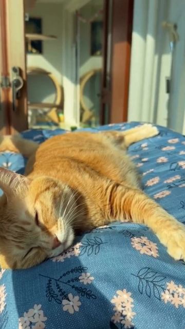 Доброе утро , в пятницу 💝👍#доброеутро