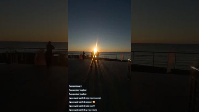 В СОЧИ ЛЕТО!🌞 ХОСТА ОНЛАЙН!🚶♂️➡️