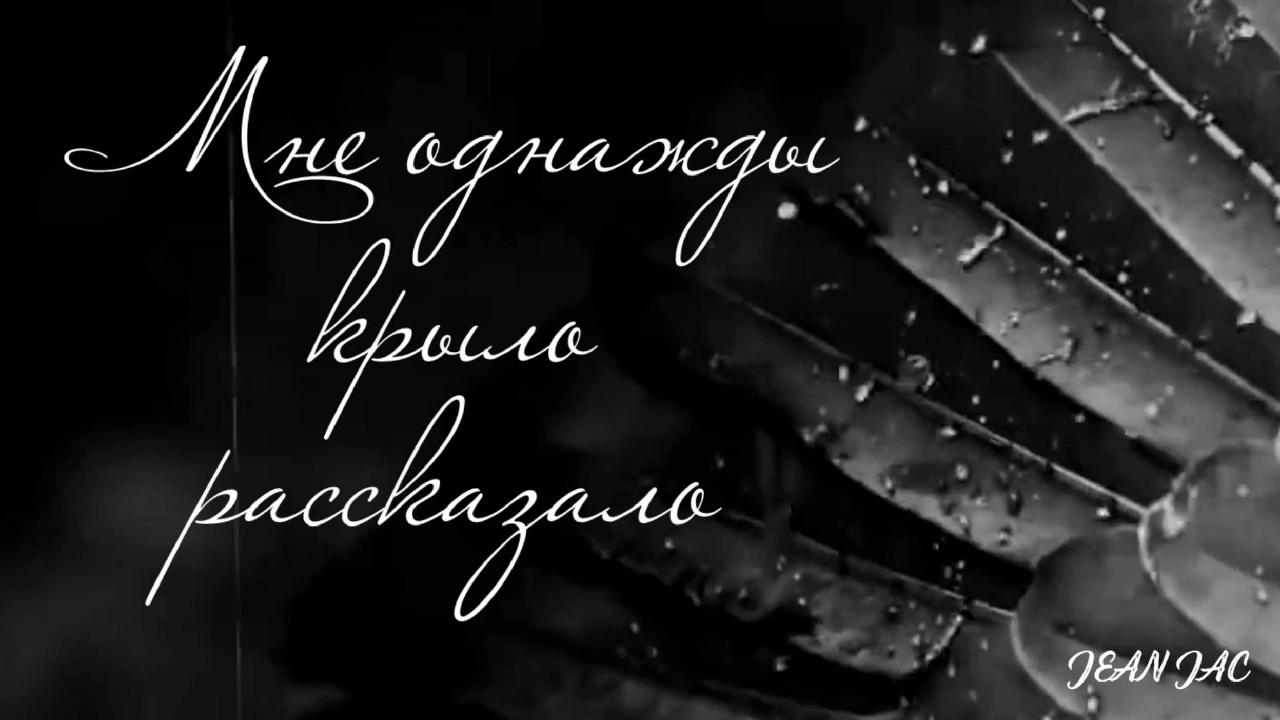 POLYPHONE & ZHADAN 🎹 М.О.К.Р. / Мне однажды крыло рассказало...