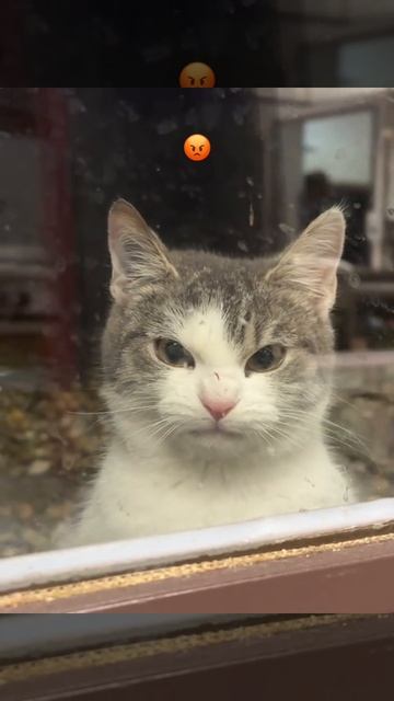 Опять утро!