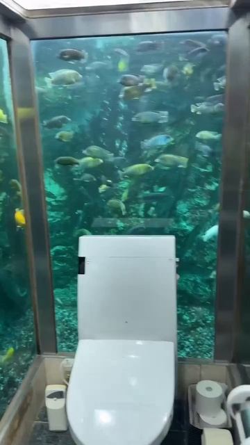 Уборная_в_японском_кафе_«Hipopo_Papa»._Как_думаете,_насколько_там_большие_очереди_)