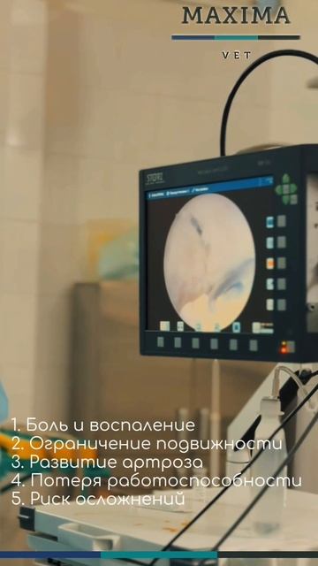 MAXIMA VET: Артроскопия двух скакательных суставов у лошади.