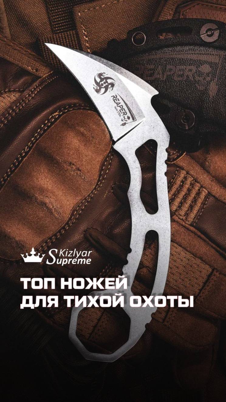 С чем идем за грибами?!