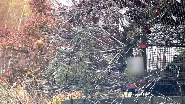 Экмпаж Т72 Б3М героически ведет бои.