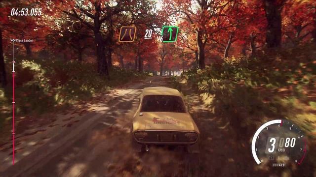 DiRT Rally 2.0 мировой рейтинг и два негра...